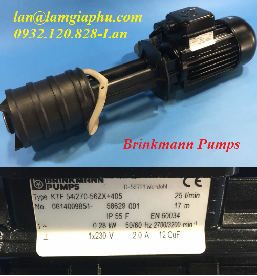 Bơm chìm Brinkmann Pumps tại Việt Nam
