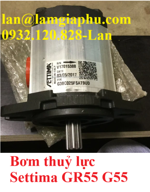Bơm thuỷ lực Settima GR55 G55 - LGP
