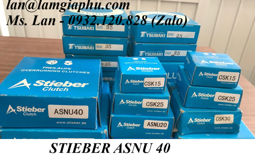 Bạc đạn STIEBER ASNU 40 - LGP nhà phân phối STIEBER